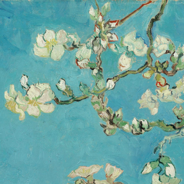MASTERPIECE STORY: ‘ALMOND BLOSSOM’ BY VINCENT VAN GOGH - Viet Art View